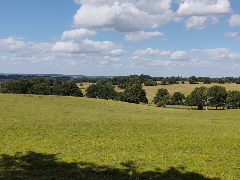 Die 5 schönsten Wanderungen rund um den Havering Country Park | Komoot
