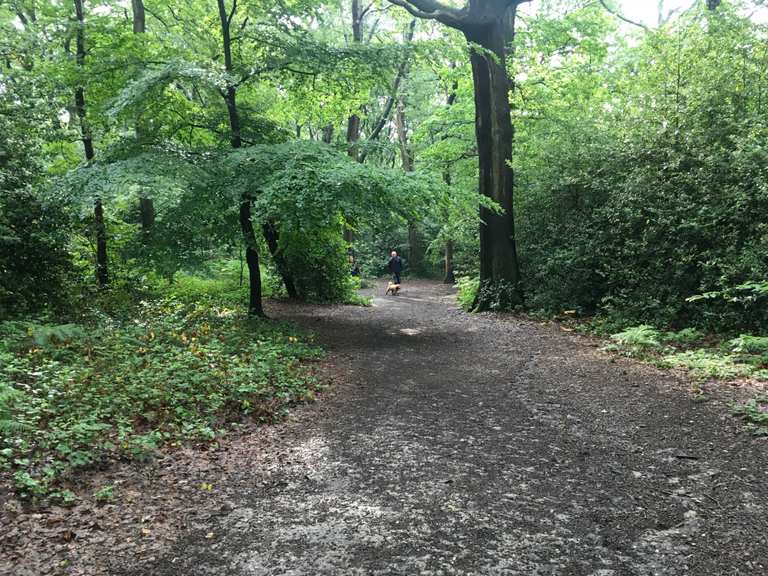 Top 10 Hikes and Walks around Oxleas Wood | Komoot