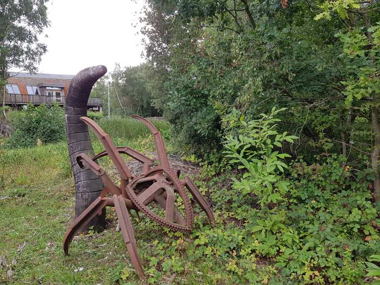 Die 17 schönsten Wanderungen rund um den Shorne Wood | Komoot