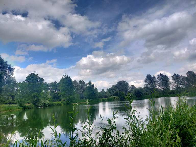 Top 10 Hikes and Walks around Chalkney Wood | Komoot