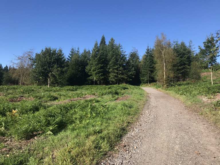 Top 10 Hikes and Walks around Longleat Woods | Komoot