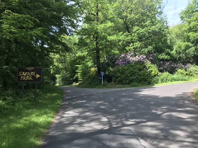 Top 9 Most Beautiful Road Biking Routes around Longleat Woods | Komoot