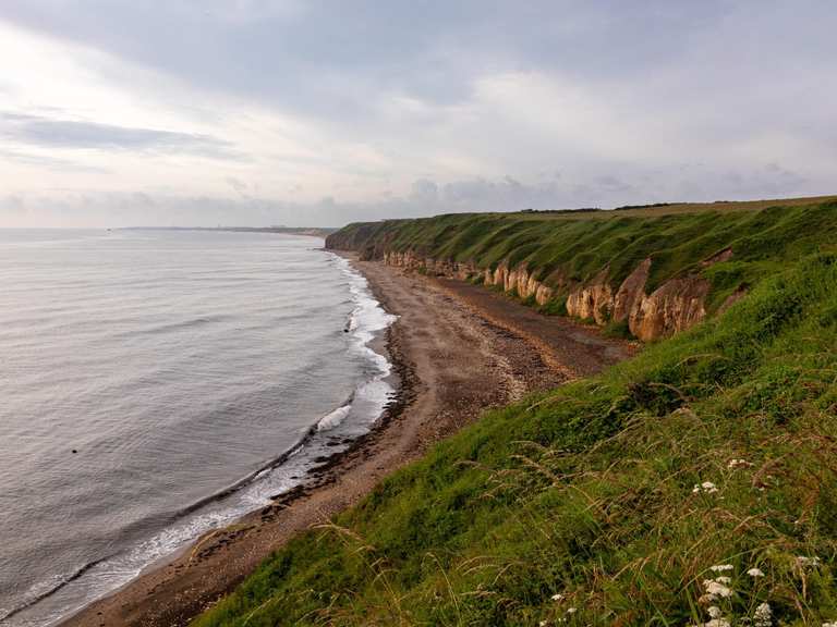 Top 8 Hikes and Walks around Castle Eden Dene National Nature Reserve ...