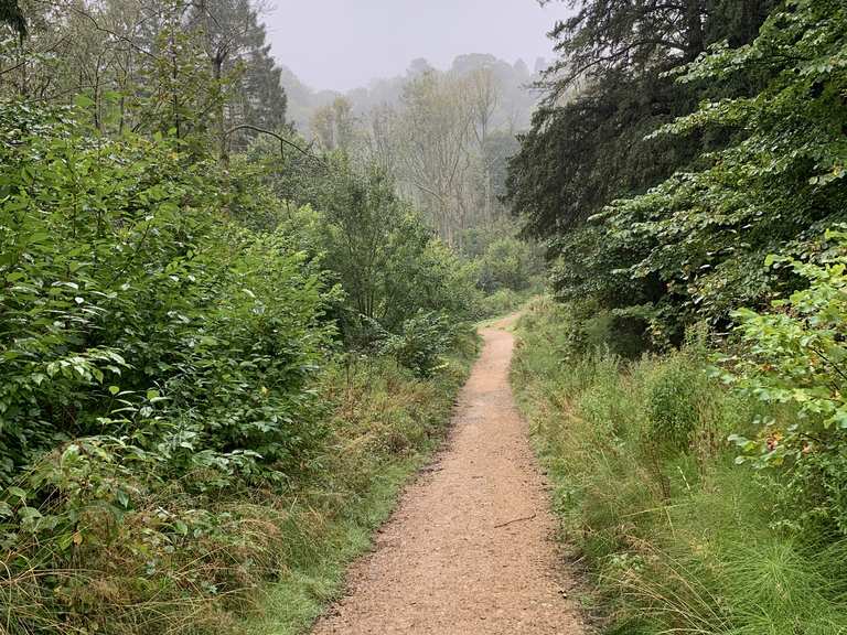 Top 5 Most Beautiful MTB Trails around Castle Eden Dene National Nature ...