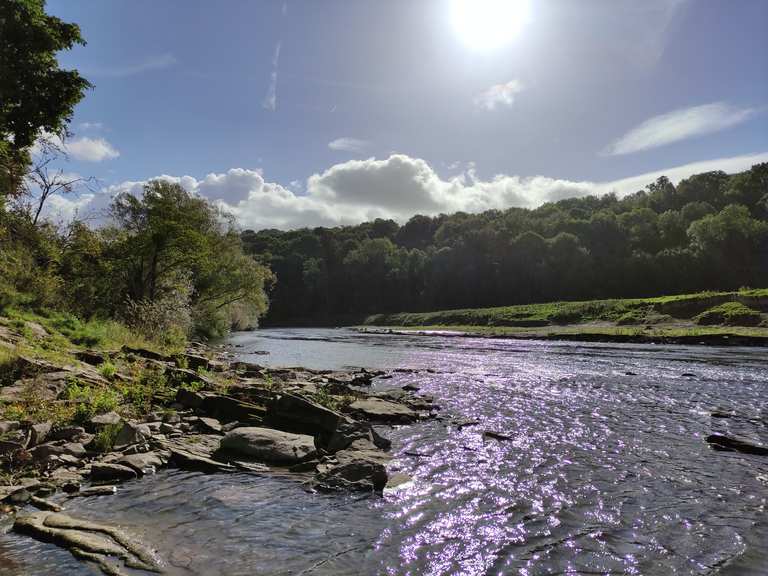 Die 11 schönsten Wanderungen rund um den Capler Wood | Komoot