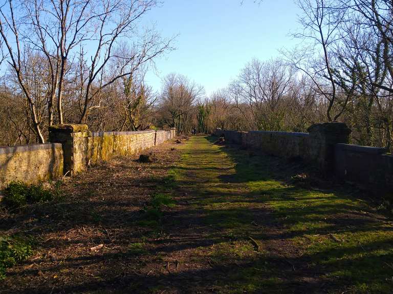 Top 9 Hikes and Walks around Asham Wood | Komoot