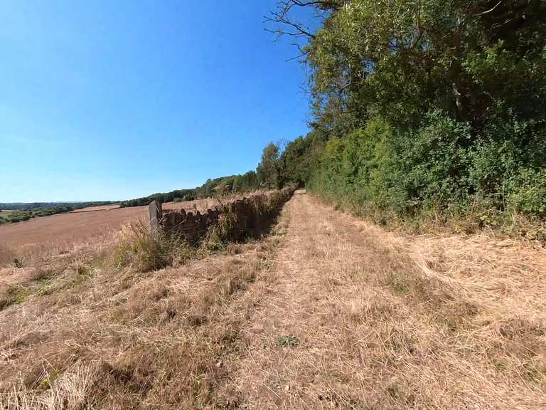 Top 16 Most Beautiful MTB Trails around Asham Wood | Komoot