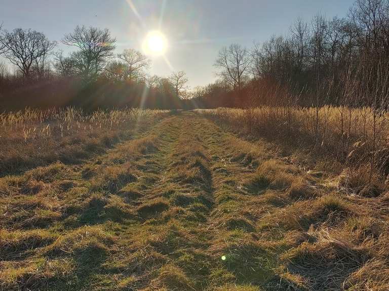 Top 8 Hikes and Walks around Fineshade Woods | Komoot