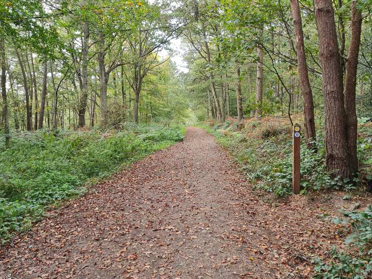 Top 10 rando VTT et circuits autour de Bricket Wood Common ...