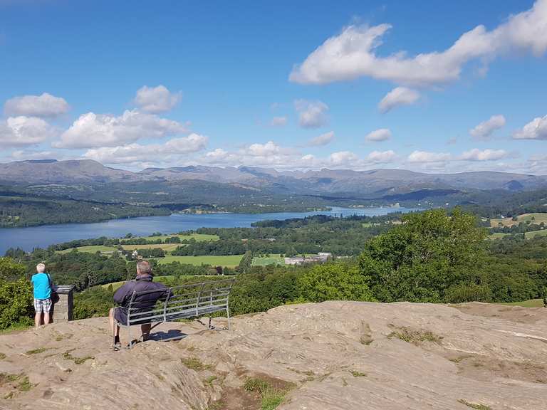 The best walks and hikes around Grizedale Forest | Komoot