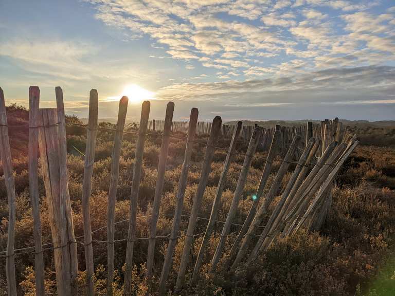 The best walks and hikes around Alice Holt Forest | Komoot