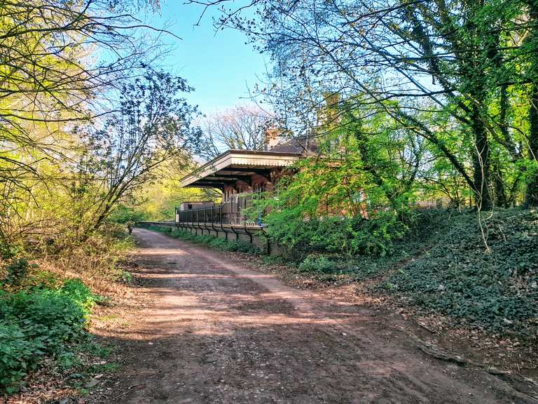 Top 5 Most Beautiful MTB Trails around Baggeridge Wood | Komoot