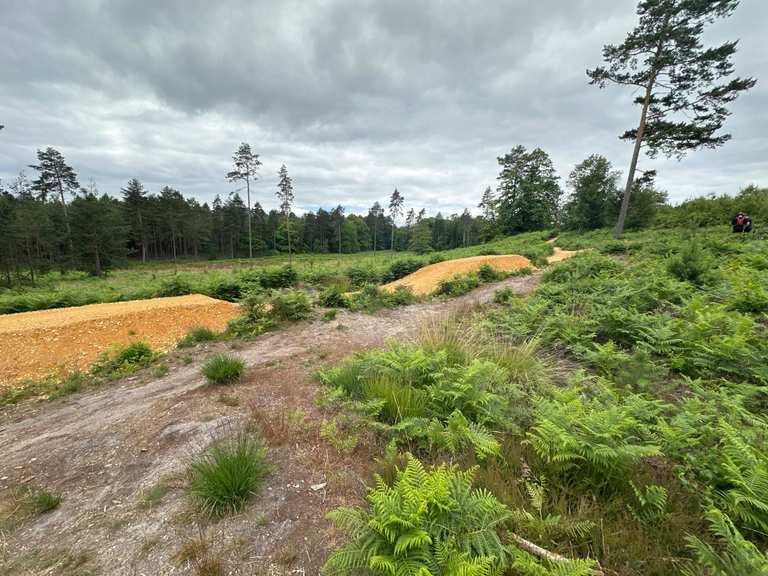 Top 10 Bike Rides and Cycling Routes around Swinley Forest | Komoot