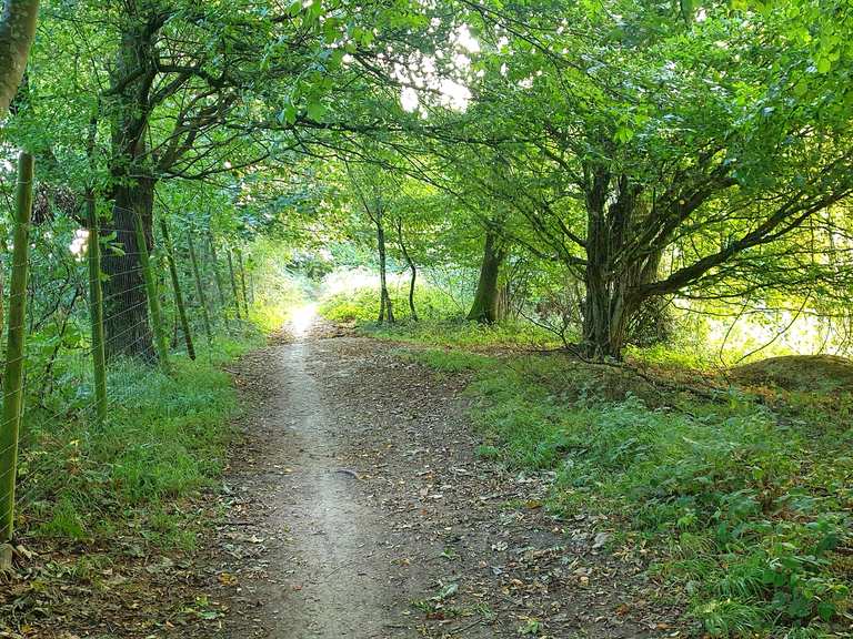 Die 5 schönsten Mountainbike-Touren rund um den Denge Wood | Komoot
