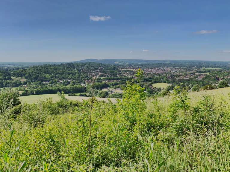 Top 10 Hikes and Walks around Norbury Park | Komoot