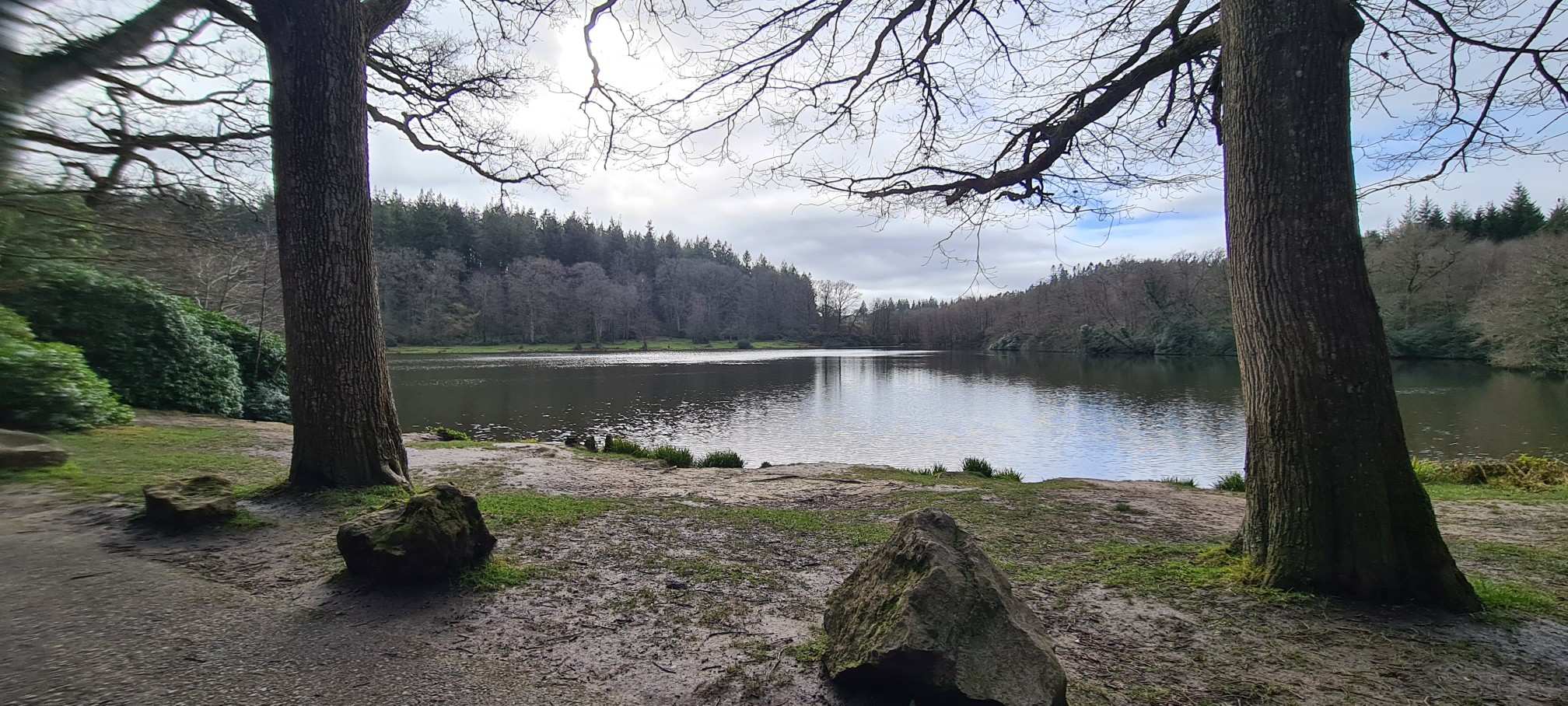 Top 17 Hikes and Walks around Longleat Forest | Komoot