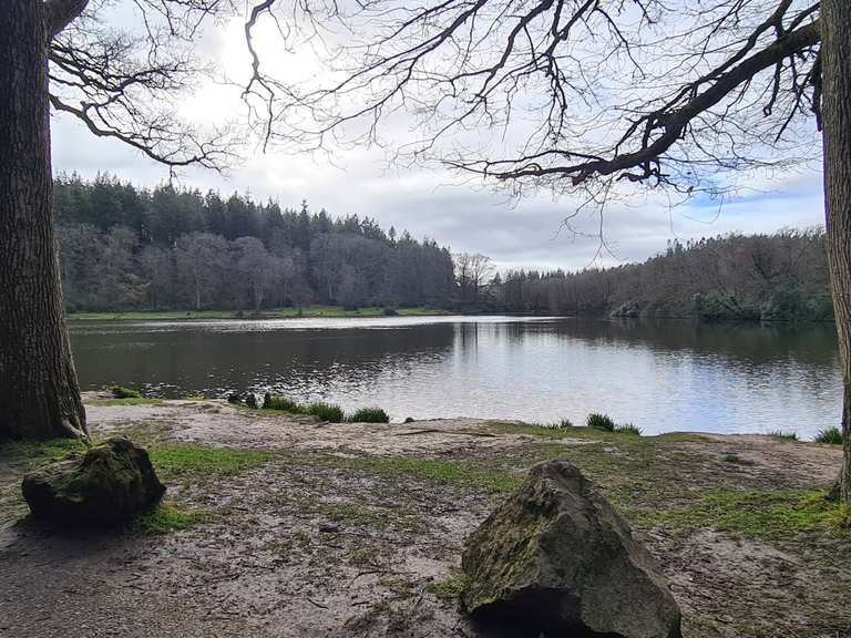 Top 10 Hikes and Walks around Longleat Forest | Komoot