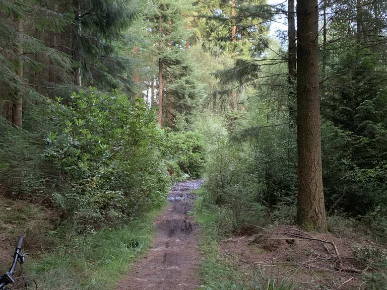 Top 10 Most Beautiful MTB Trails around Longleat Forest | Komoot