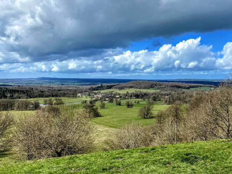 Top 10 Most Beautiful Road Biking Routes around Longleat Forest | Komoot