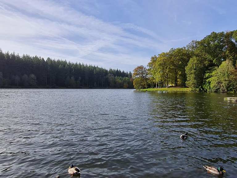 Top 10 Bike Rides and Cycling Routes around Longleat Forest | Komoot