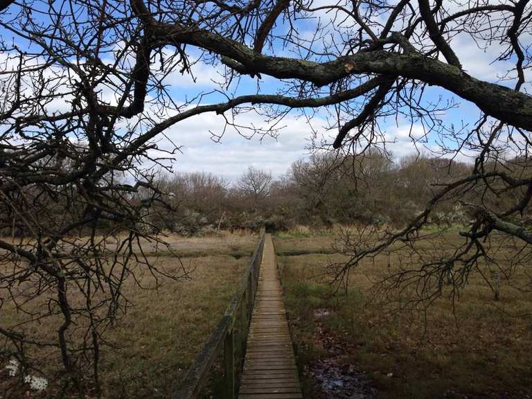 Top 5 Hikes and Walks around Bouldnor Forest | Komoot