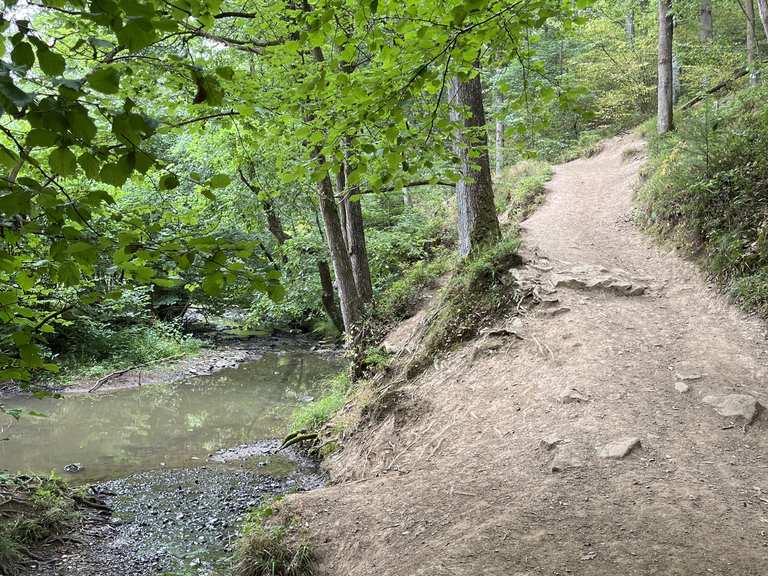 Top 10 Most Beautiful MTB Trails around Wyre Forest | Komoot