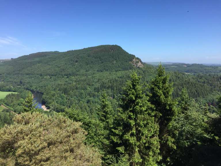 Die 15 schönsten Wanderungen rund um den Craigvinean Forest | Komoot