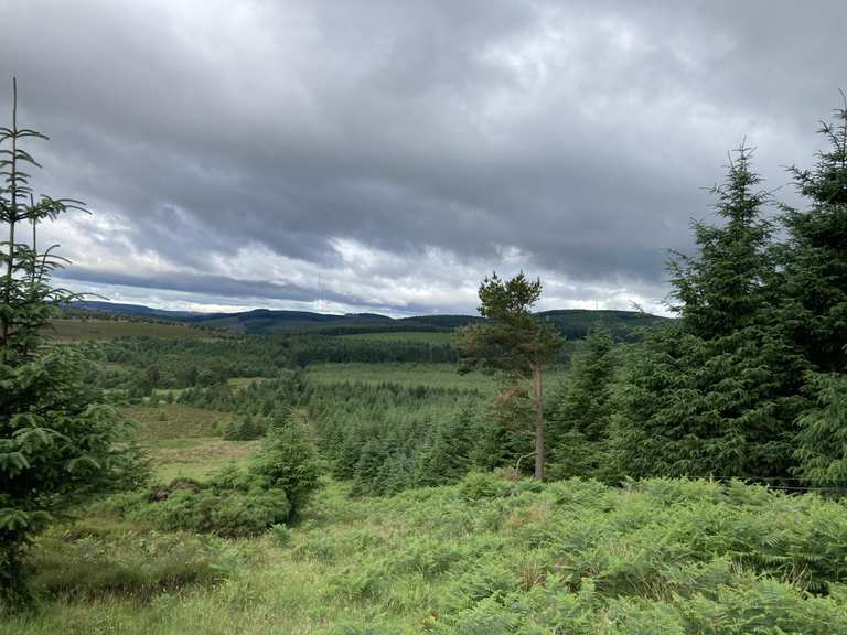 Top 10 Most Beautiful MTB Trails around Durris Forest | Komoot