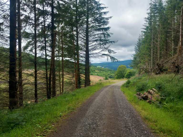 Top 10 Bike Rides and Cycling Routes around Cardrona Forest | Komoot