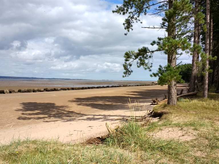 Top 10 Hikes and Walks around Tentsmuir Forest | Komoot