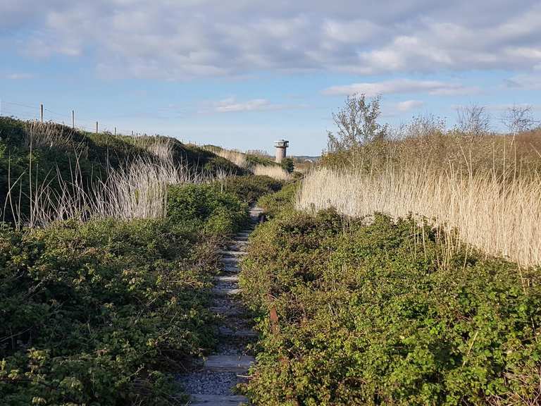 Top 12 Hikes and Walks around Ballyseedy Wood | Komoot