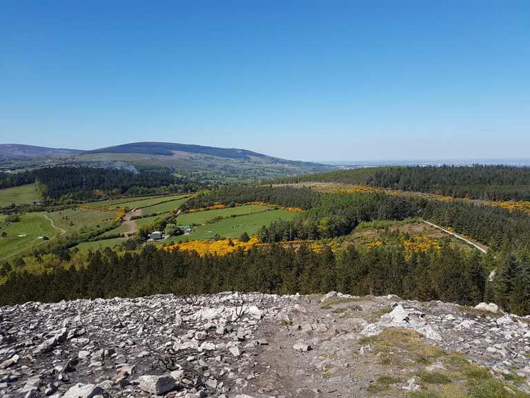 Die 5 schönsten Wanderungen rund um Carrickgollogan Wood | Komoot