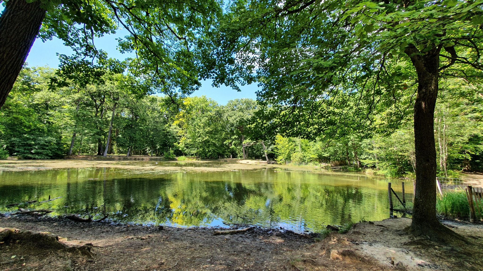 Top 10 randonnées et balades autour de la Forêt Domaniale de Saint ...