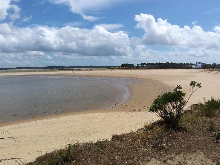 Foret Domaniale de Saint-Trojan에서 가장 멋진 10개의 로드 사이클링 경로 | Komoot