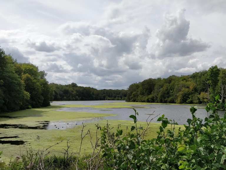 Top 10 randonnées et balades autour de la Forêt de Chantilly | Komoot