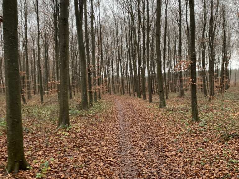 Die 19 schönsten Mountainbike-Touren rund um den Forêt de Chantilly ...