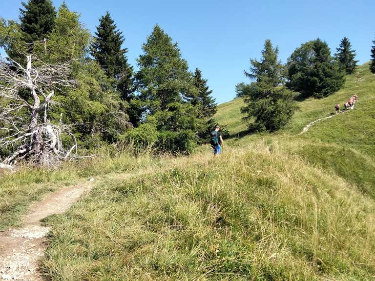 Top 20 Hikes and Walks around Valle di Terragnolo | Komoot