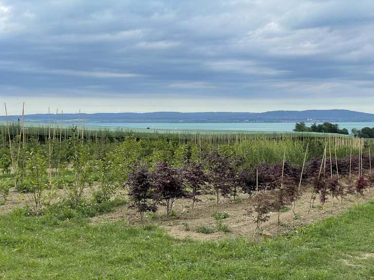 Die 10 schönsten Wanderungen rund um Dozwil | Komoot