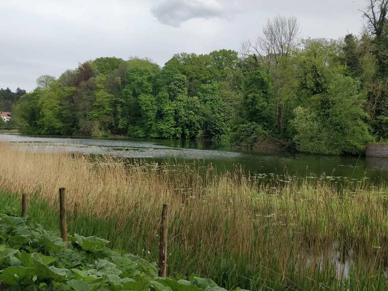 Les plus belles promenades et randonnées autour du Bois de la Cambre ...
