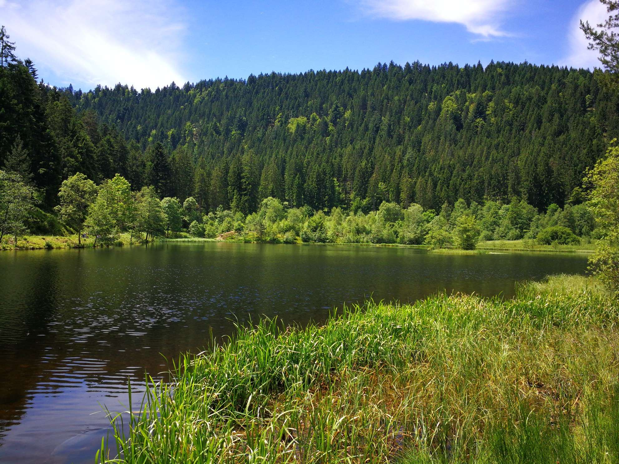 Les 20 plus beaux Lacs dans la Forêt-Noire | Komoot
