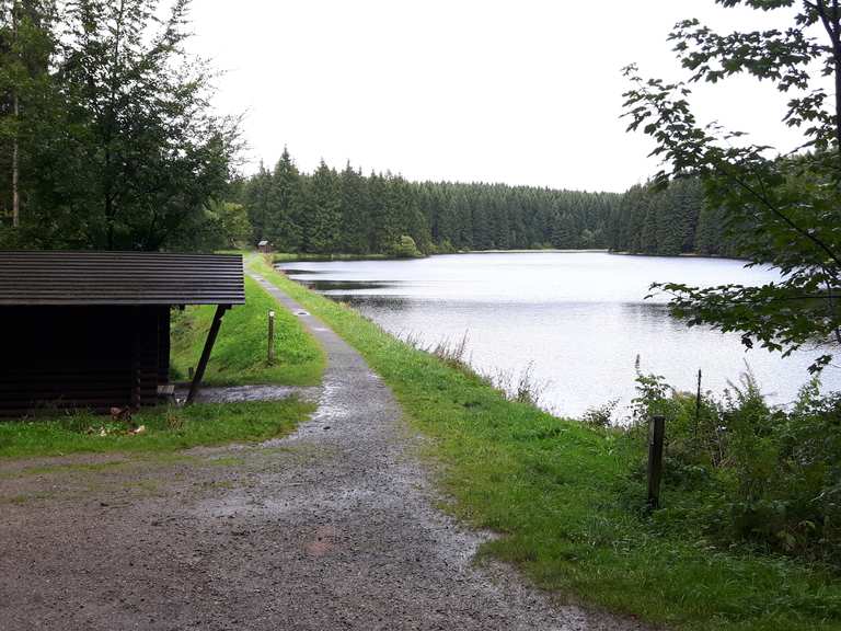 De mooiste 20 meren in het Harz gebergte | Komoot