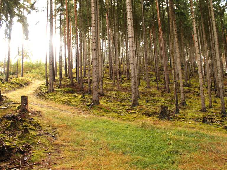 Attractions and Places To See in the Thuringian Forest - Top 20 | Komoot