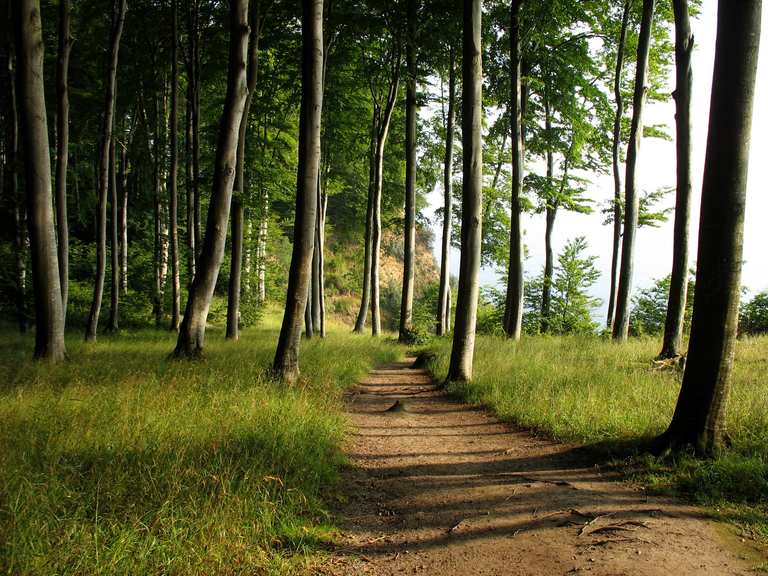 Lista 20 najciekawszych atrakcji i miejsc wartych zobaczenia na Rugii ...