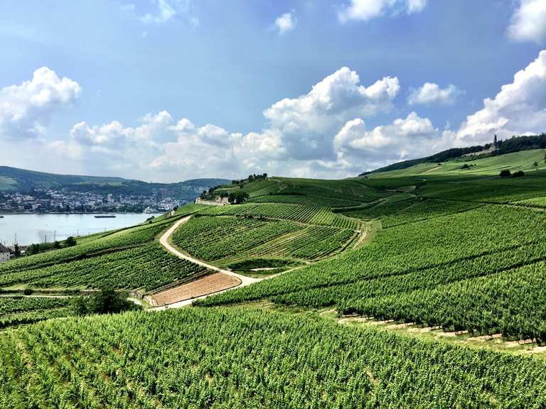 Attractions and Places To See in the Rheingau - Top 20 | Komoot