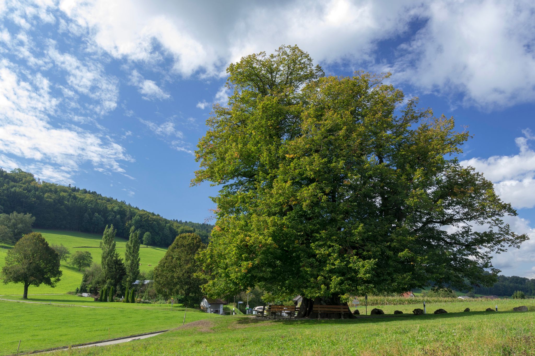 Ausflugsziele im Aargau - Die Top 20 | Komoot