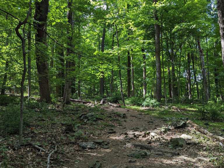 Top 10 Hikes and Walks around Fort Ritchie | Komoot