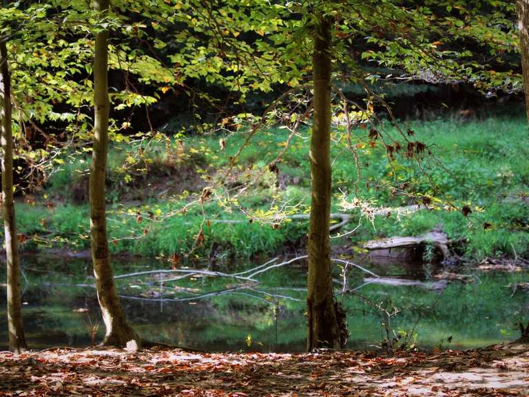 Top 10 Hikes and Walks around Scaggsville | Komoot