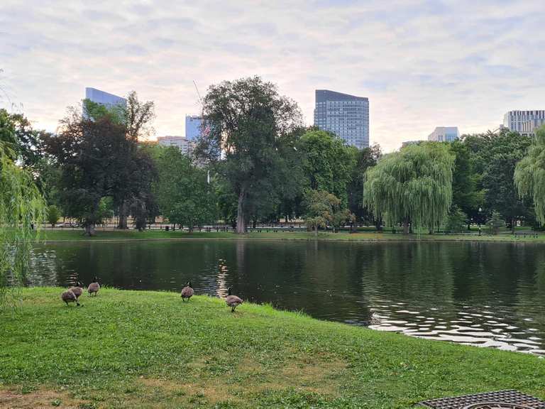 Top 10 Running Trails around Boston | Komoot