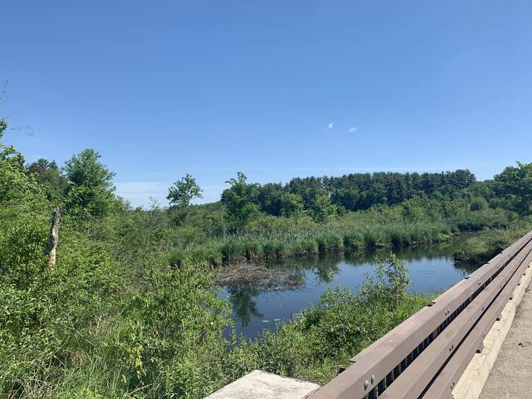 Top 20 Most Beautiful Road Biking Routes around Bellingham | Komoot