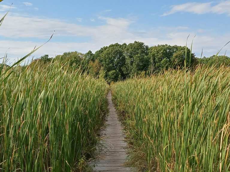 Top 10 Hikes and Walks around Wellesley | Komoot